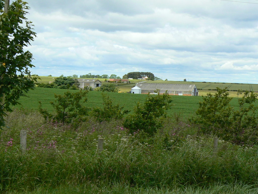 My Webster ancestors: Part one – GSQ Blog