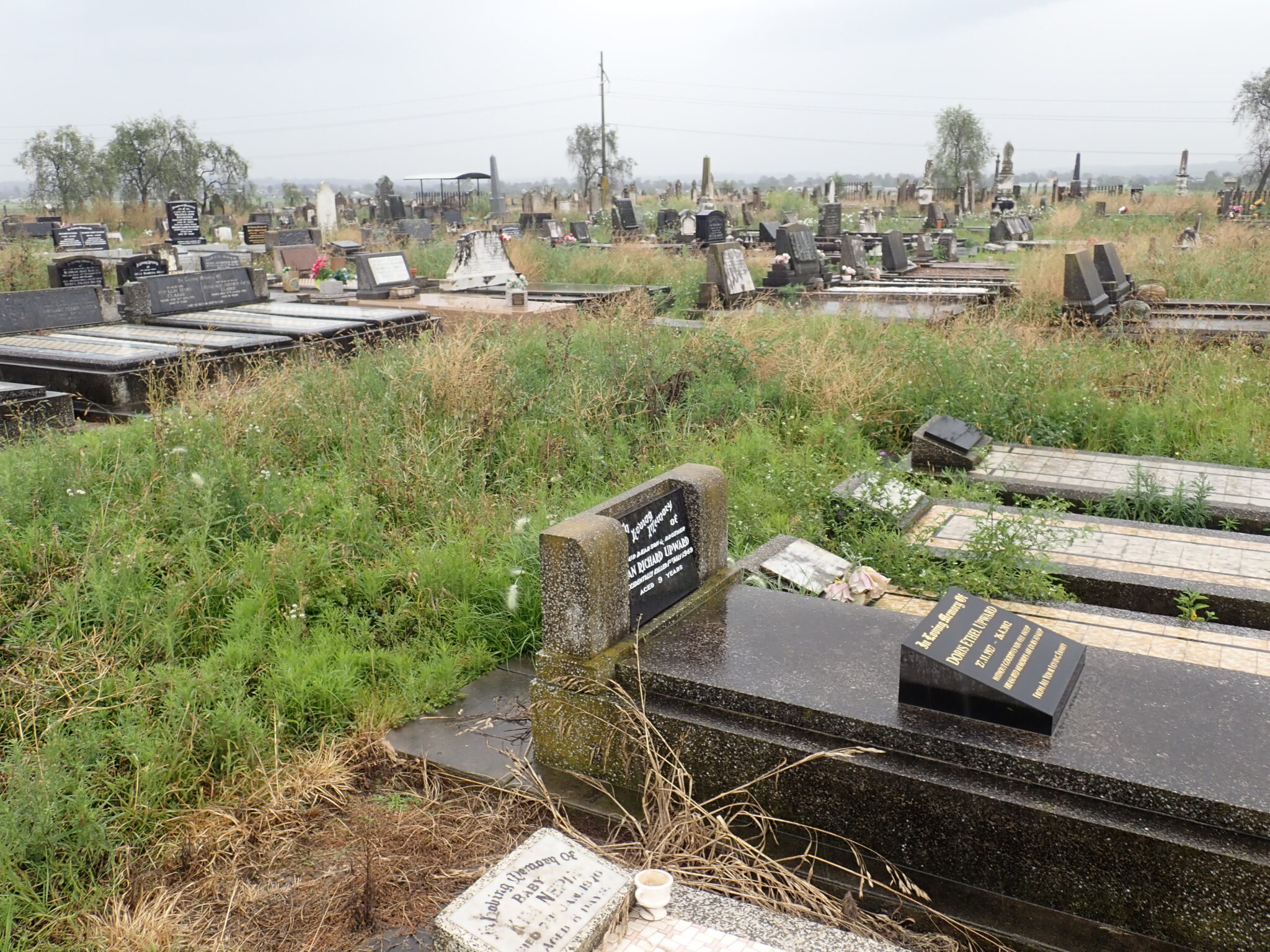 What I’ve Learnt as a Taphophile. – GSQ Blog