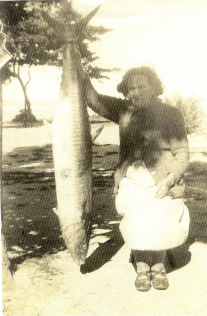 The elusive background of Mary Sheehy. – GSQ Blog